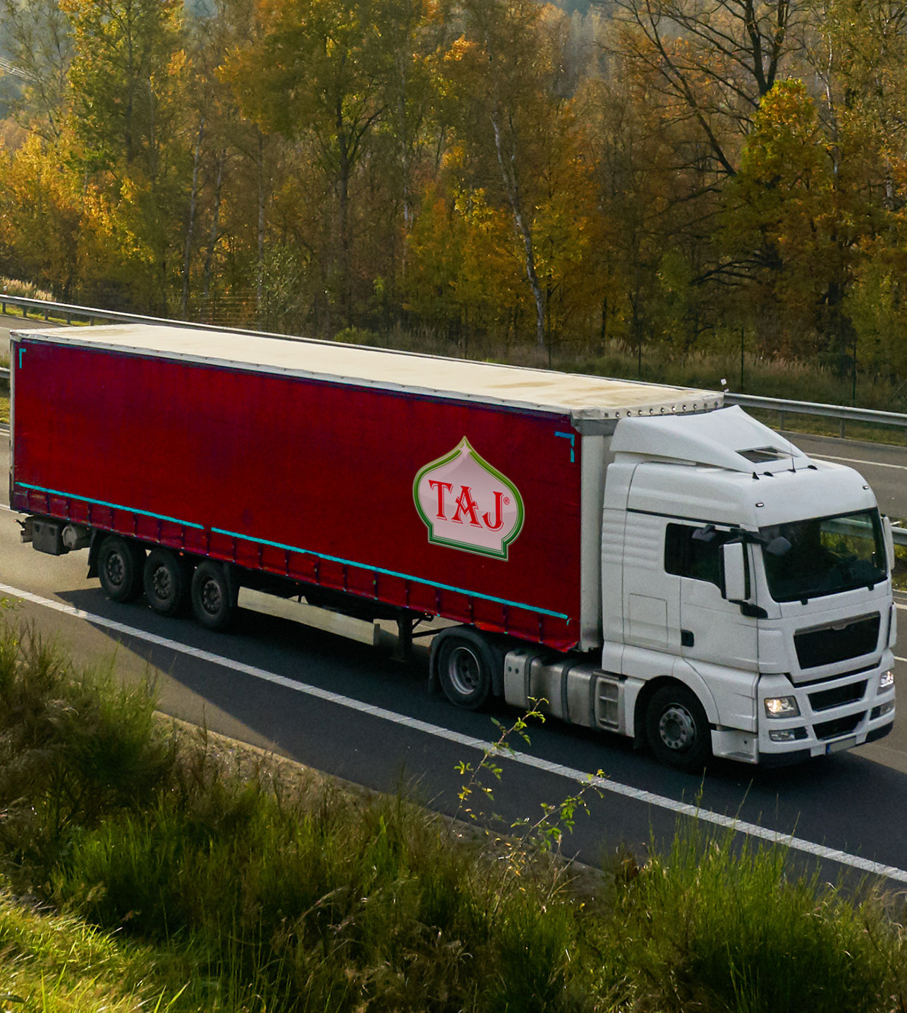 Our Story - TAJ Foods